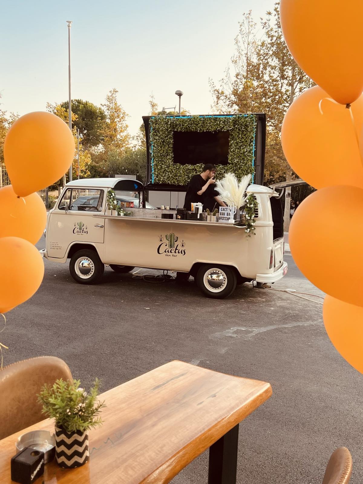 GALLERY – Cactus Van
